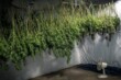 A Beginners Guide to Drying & Curing Hemp - Industrial Hemp Farms