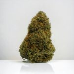 Raspberry Bear Claw CBD Flower - Industrial Hemp Farms